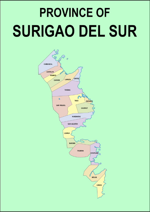 Surigao Del Sur Province Map Waterproof A4 Laminated Chart | Lazada PH