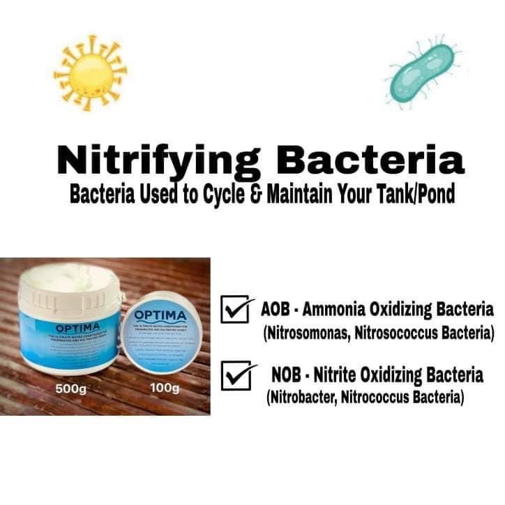 fish food Optima Ultimate Water Conditioner 510 and 20g | Lazada PH