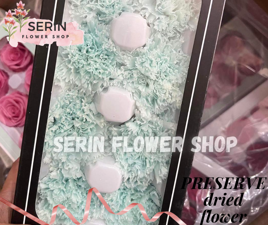 Preserved Carnation Flower 8 pcs per box/ Real Preserved Carnation(home ...