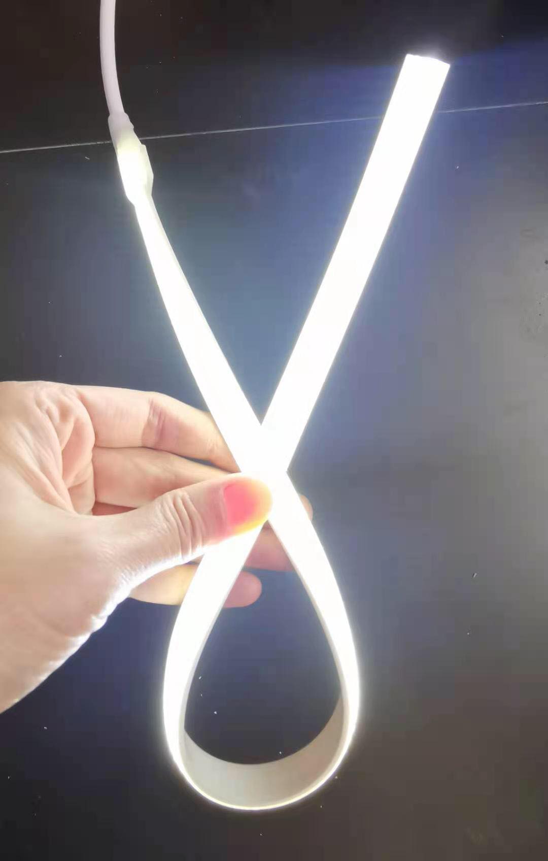 AGC LED COB LED STRIP 220V (10METERS WITH PLUG) | Lazada PH