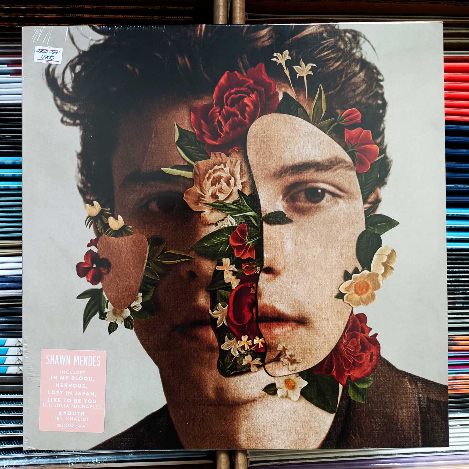 Shawn Mendes – Shawn Mendes | Vinyl LP Plaka The Grey Market Records ...