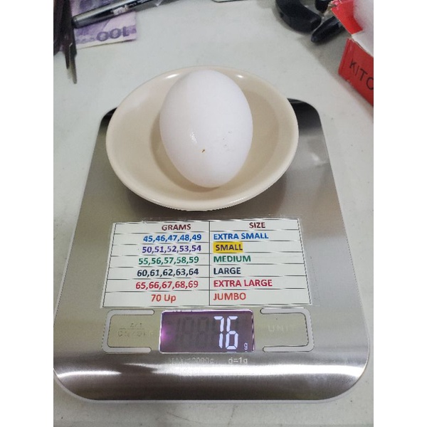 stainless digital egg scale egg weighing scale | Lazada PH