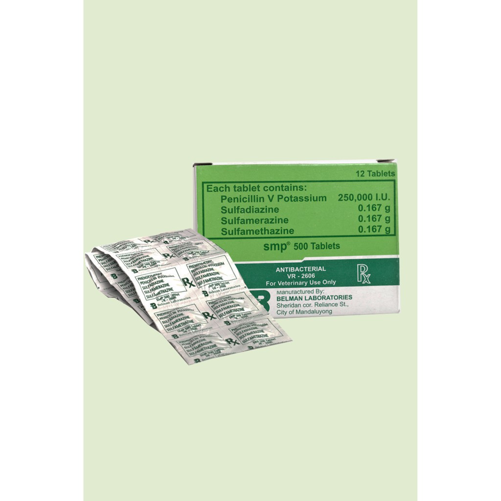 SMP 500 Tablet (12's) | Lazada PH