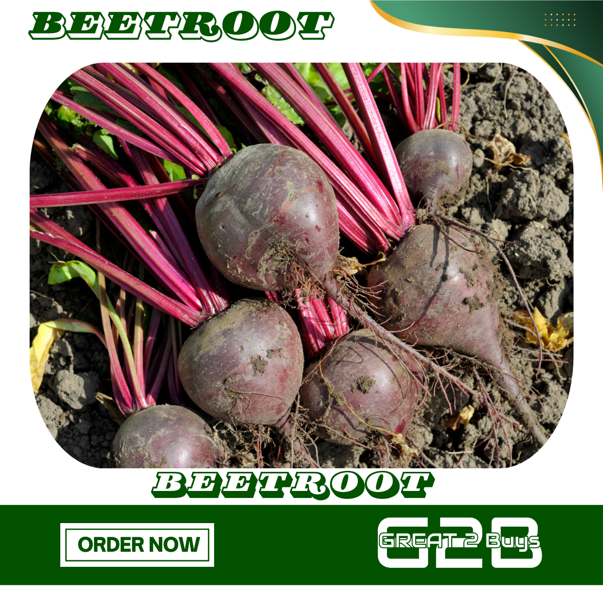 1Kg Benguet beetroot Fresh sugar beets | Lazada PH