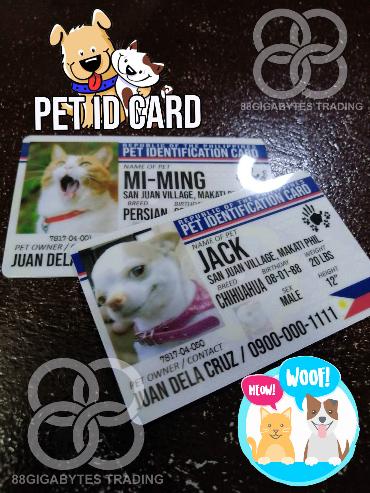PET DOG / CAT Kitten Identification Card PVC Card | Lazada PH