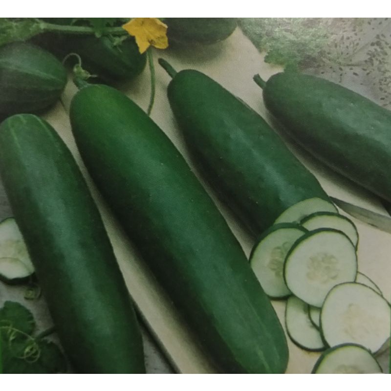 100 seeds SET A VEGETABLE AND HERBS SEEDS, TALONG,PECHAY,OKRA,TOMATO ...