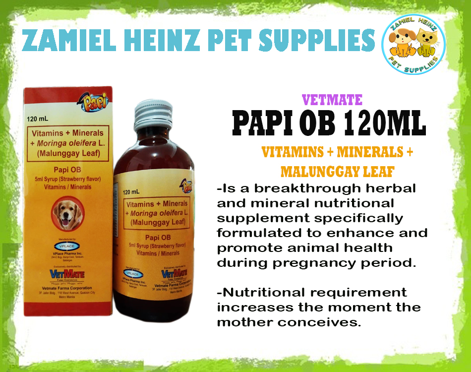 PAPI OB Vitamins + Minerals (MALUNGGAY LEAF) (120ml) | Lazada PH