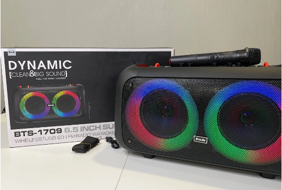 6.5inche Bass Portable Subwoofer Bluetooth Karaoke Speaker with ...