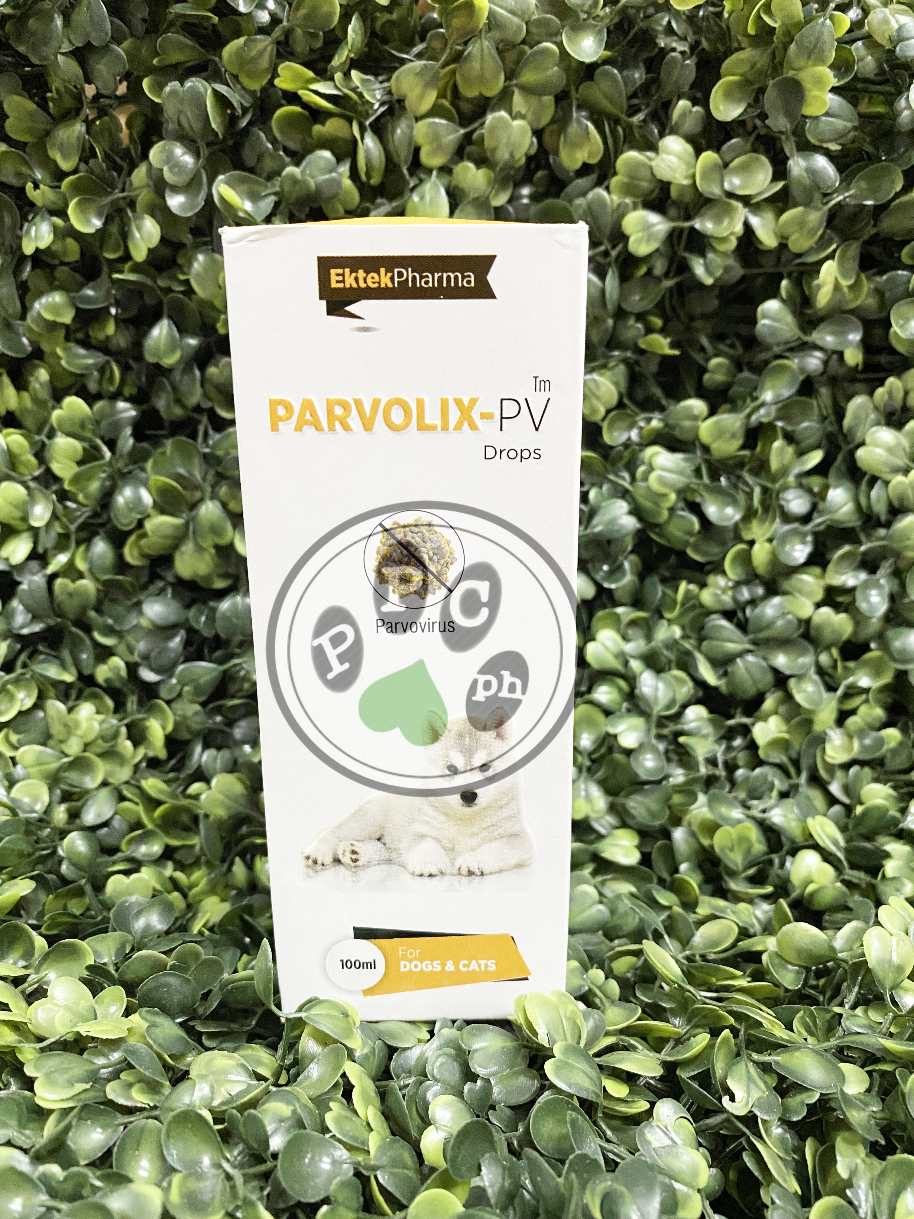 Parvolix-PV Drops for treatment of Parvo Virus in Dogs and Cats 100ml ...