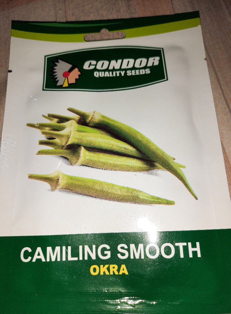 okra / okro / camiling smooth okra - 7grams - Condor seeds - original ...