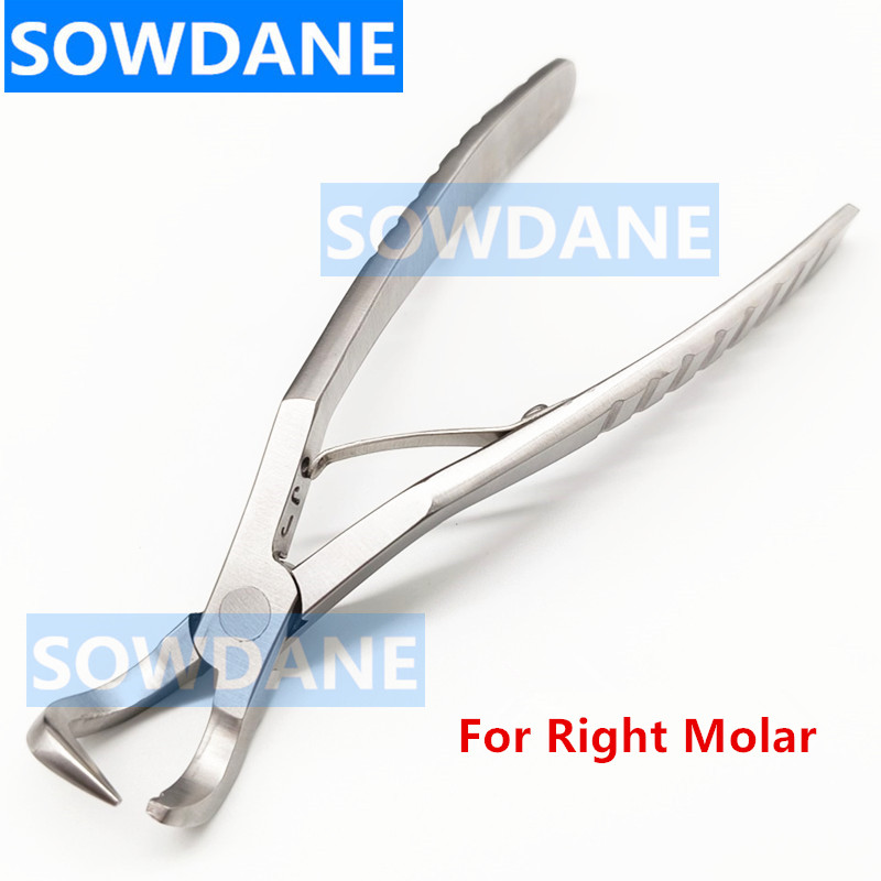 PMUAJ Dental Crown Extractor Forcep Plier Teeth Extraction Plier Forcep ...