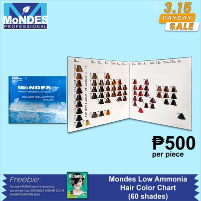Mondes LA Color Chart 60 Shades | Lazada PH