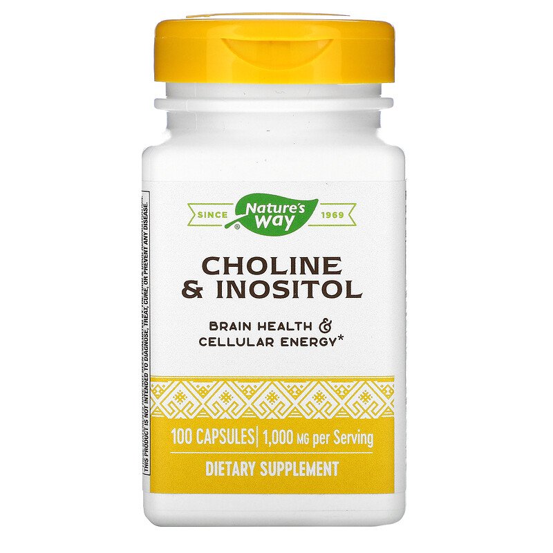 Choline & Inositol, 1,000 mg, 100 Capsules | Lazada PH
