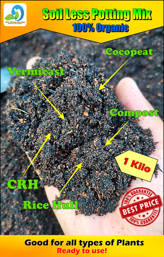 (1Kg) Soil Less Potting Mix (100% Organic) Ready to use to your plants ...