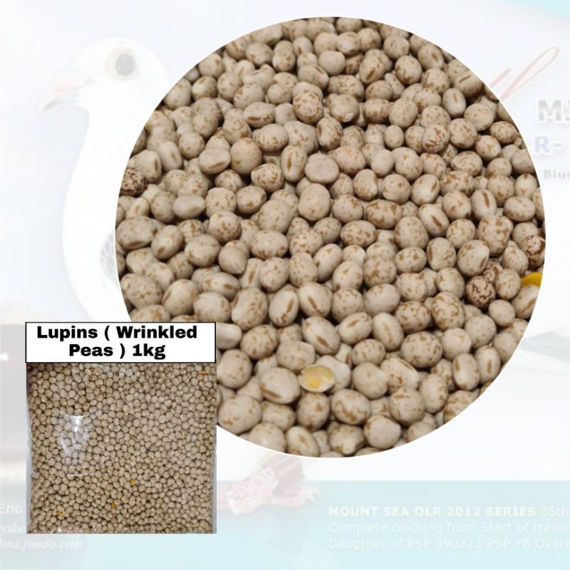 Lupins ( Wrinkled Peas ) 1kg and 500 Grams | Lazada PH