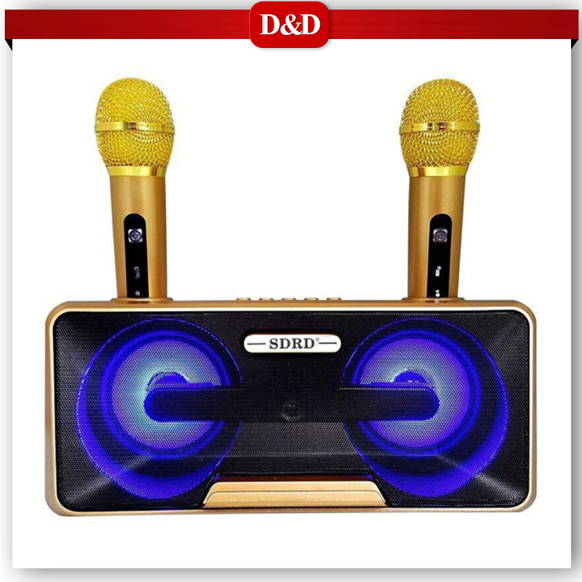 D&D | SDRD SD-301 Portable Wireless Speaker with Double Microphone ...