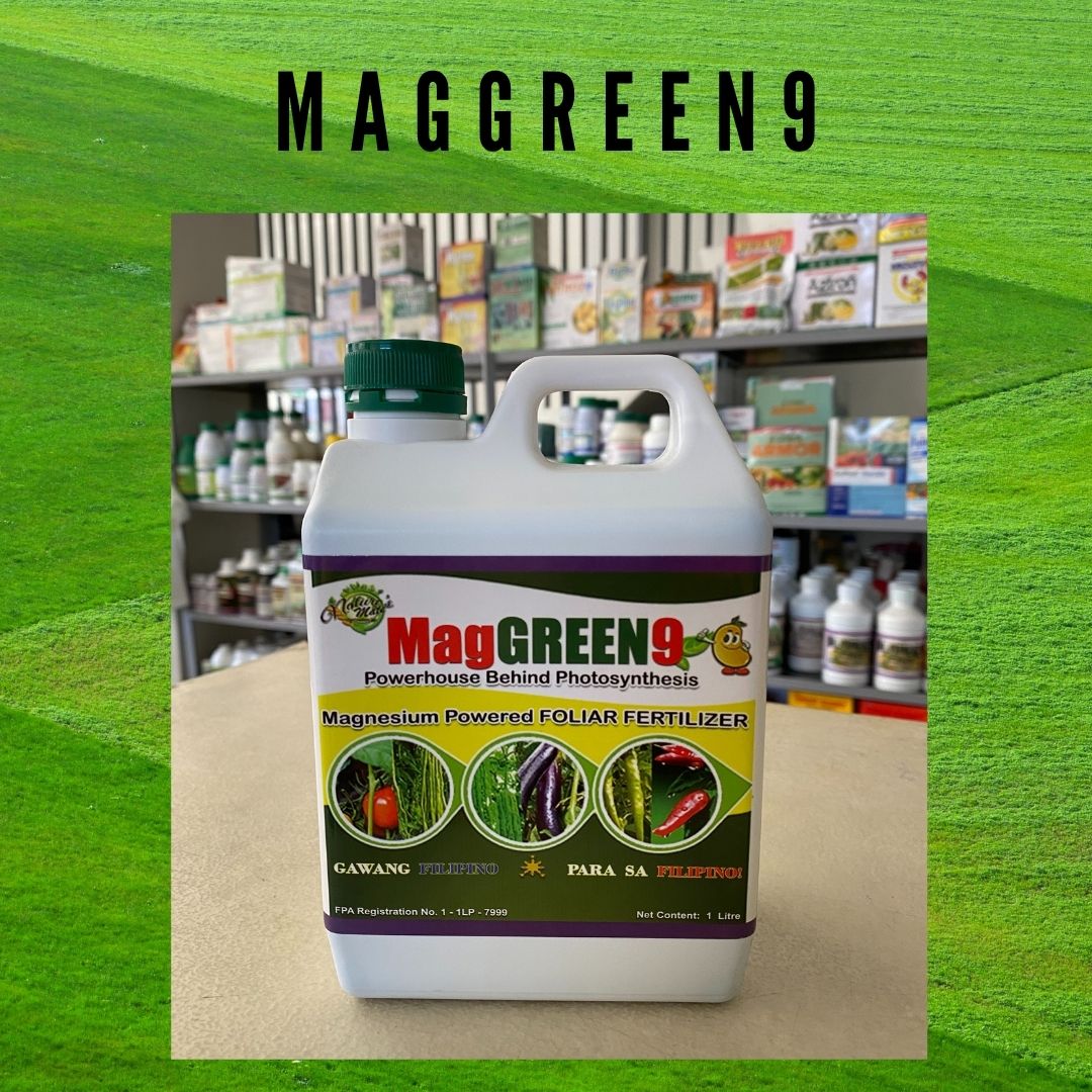 Mag GREEN9 1 Liter Foliar Fertilizer | Lazada PH