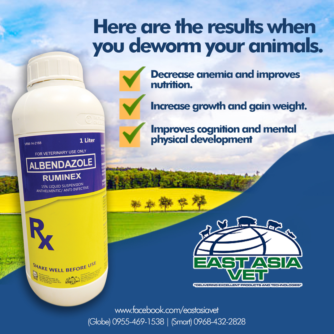 Ruminex 1 Liter Albendazole for cattle goat sheep oral suspension livestocks Ruminex 1 Liter ...