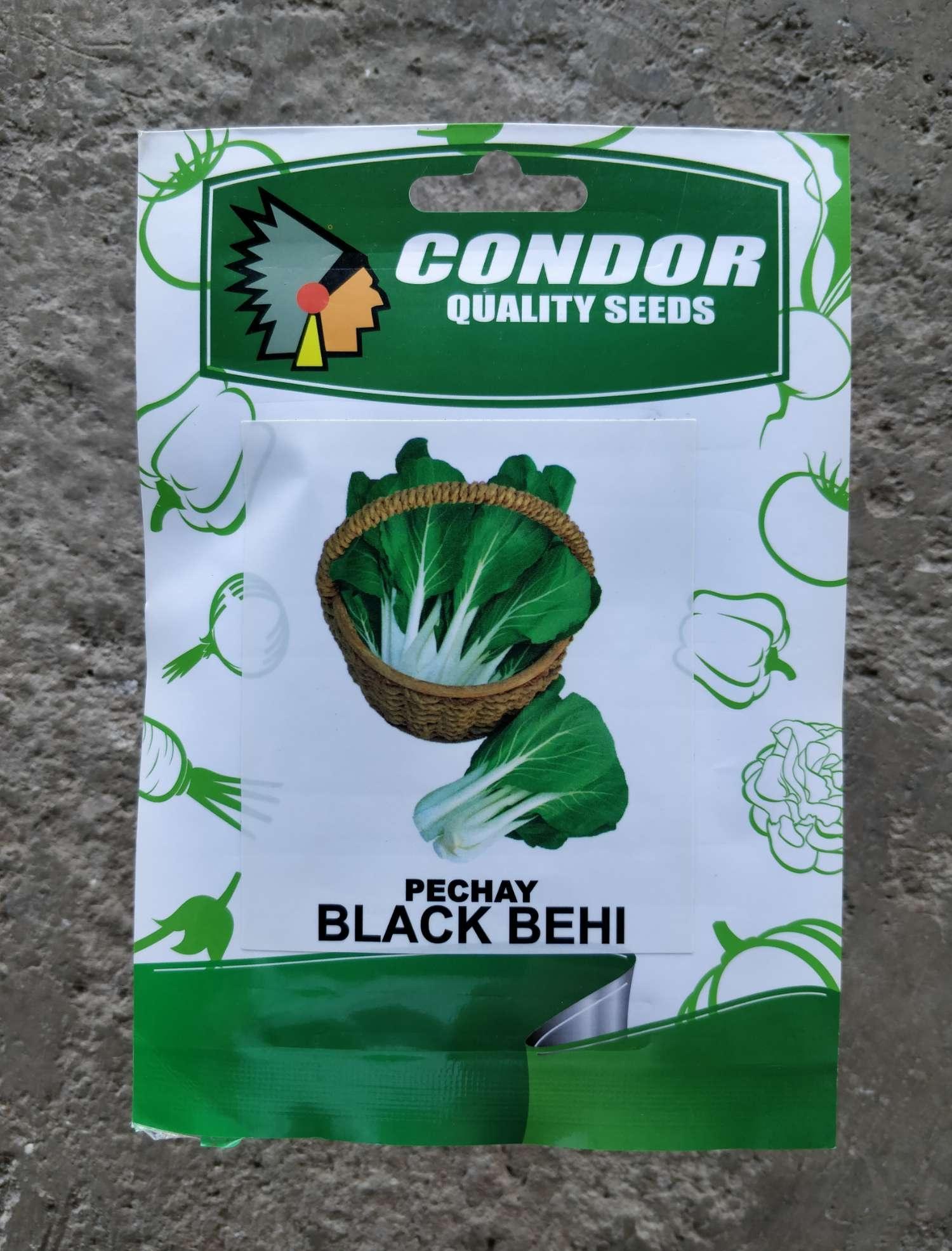 CONDOR SEEDS - PECHAY SEEDS - BLACK BEHI 8 Grams | Lazada PH