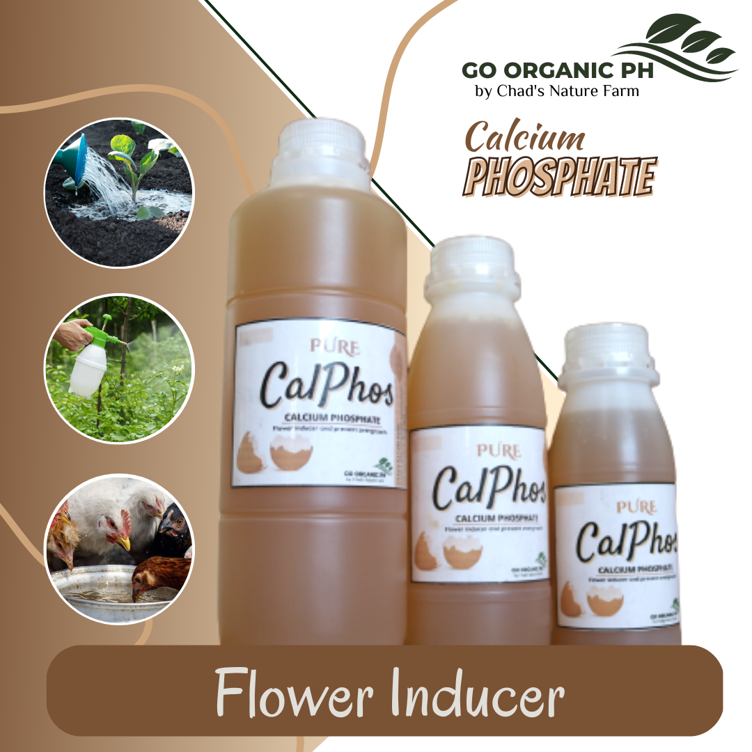 GO ORGANIC PH PURE CALPHOS (Calcium Phosphate) - Source of Calcium and Phosphorous Before ...