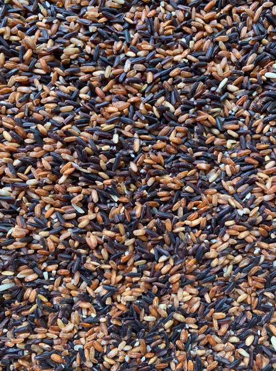 Nutri Multi-Grain Rice Mix Mixed Rice 1Kg Adjustable Mixture Ratio ...