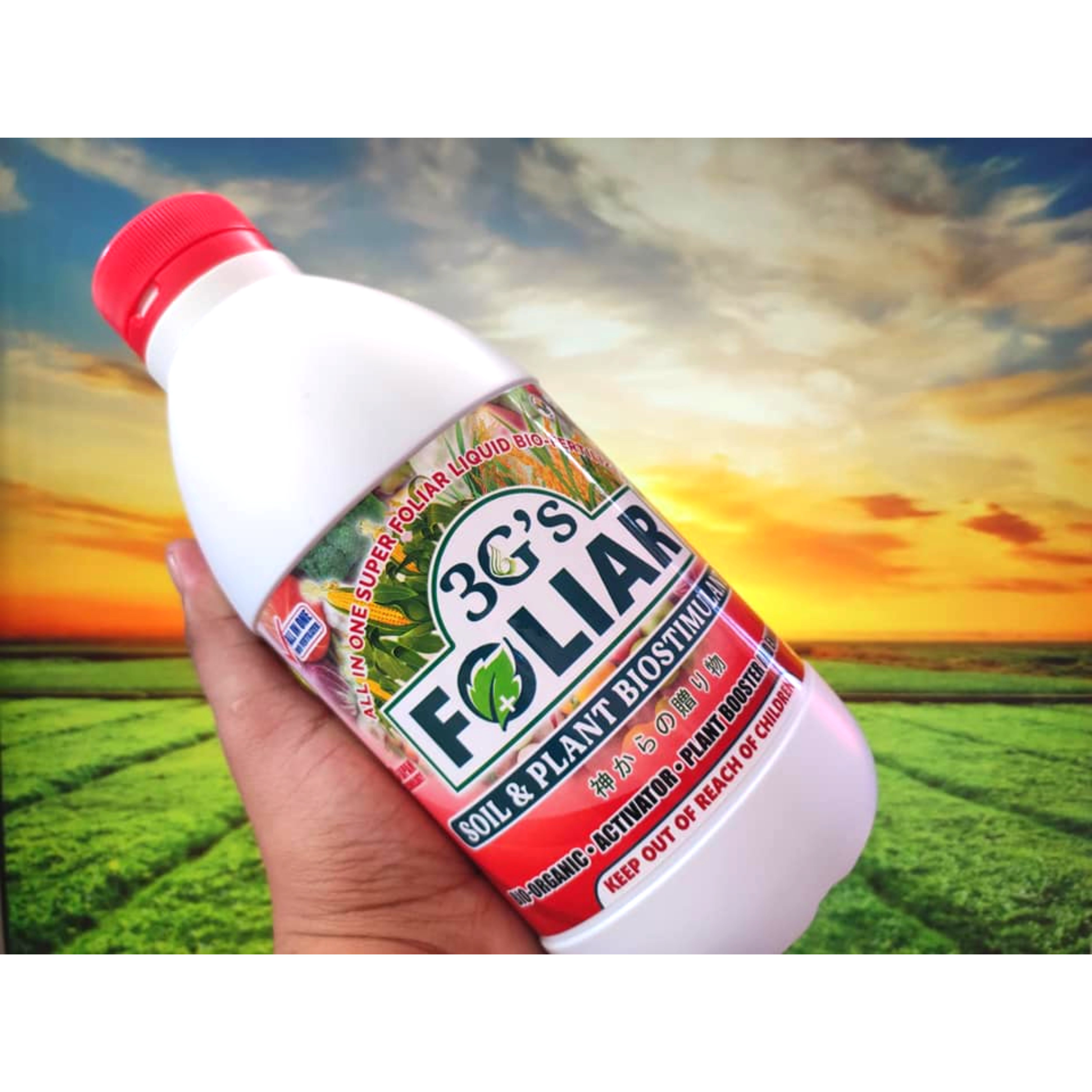 3G's Foliar 1liter Soil and Plant Biostimulant Insecticide (BUY ONE GET ...