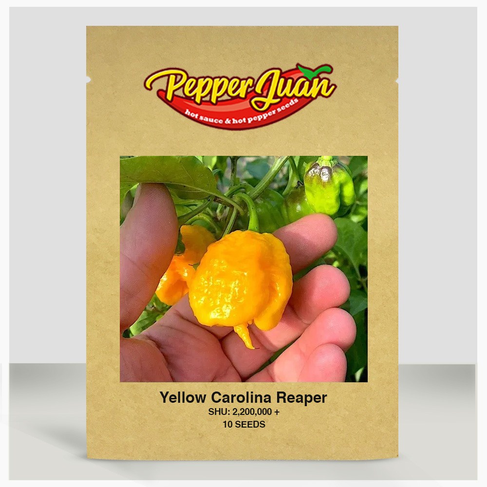 Yellow Carolina Reaper Pepper Seeds | Lazada PH
