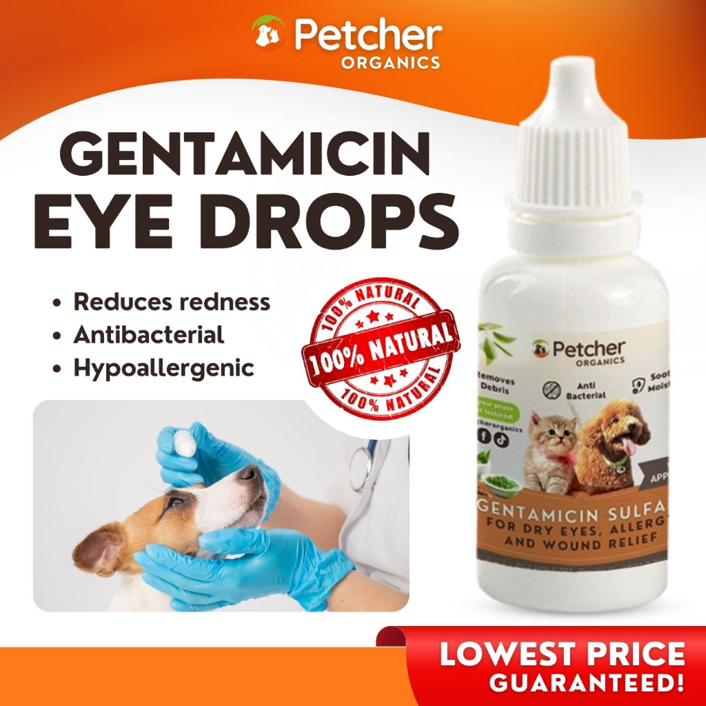 Petcher Organics Gentamicin Sulfate for Dogs Eyes Antibacterial Eye ...