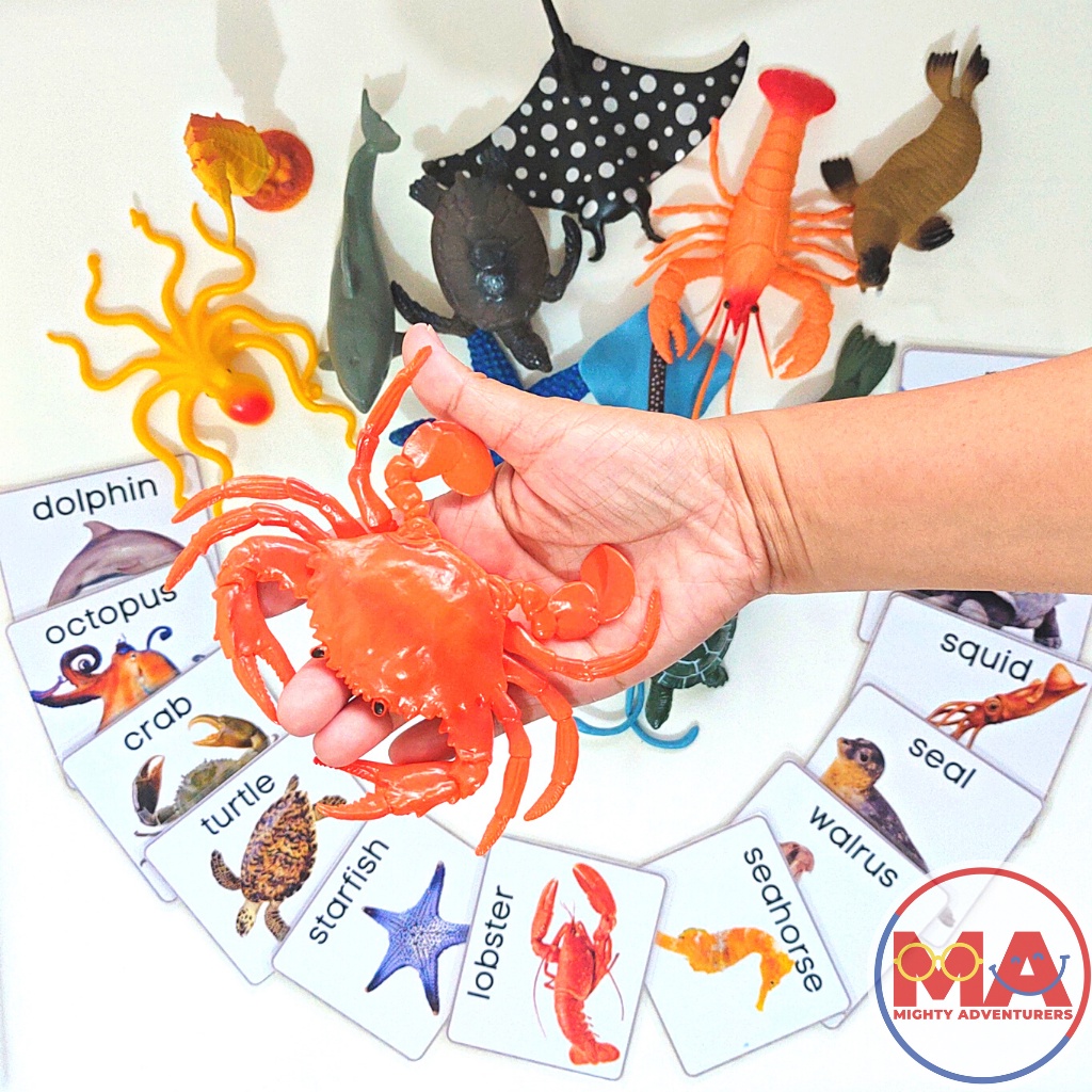 MA OCEAN ANIMALS BIG SIZE Montessori Learning Toy with matching cards ...