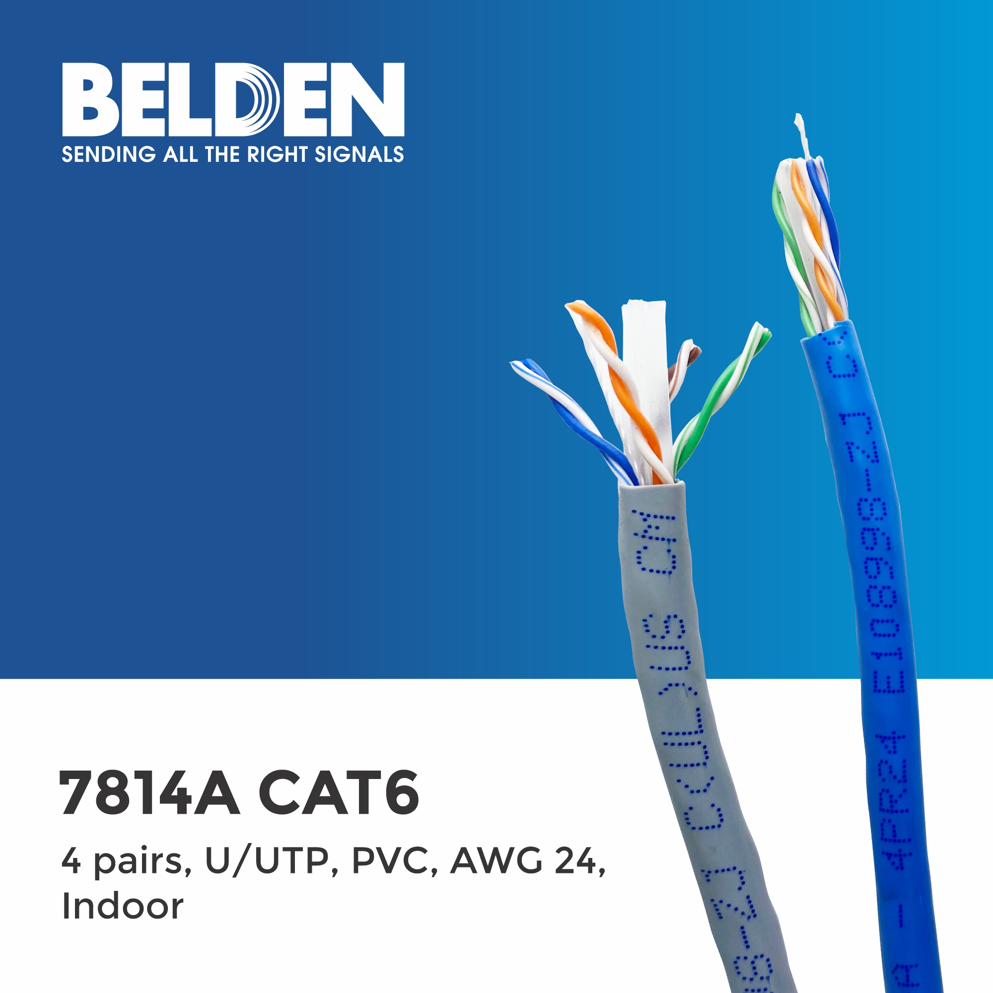 Belden 7814A Cat 6 Cable UTP Unshielded AWG24 Gray Data LAN Cable Cat6 ...
