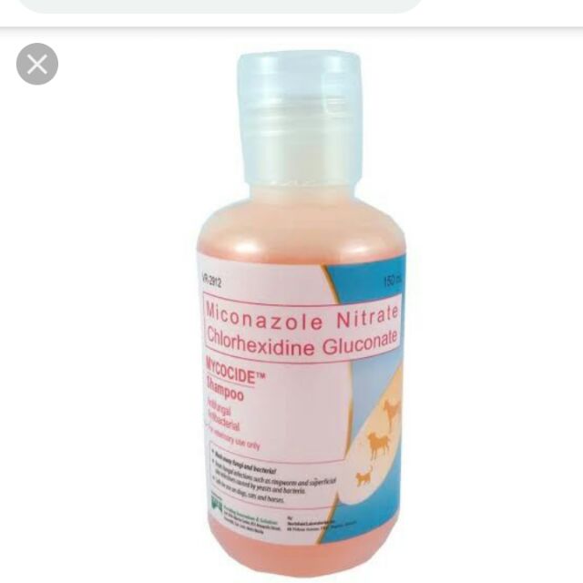 mycocide shampoo antifungal and antibacterial for dog and cat | Lazada PH