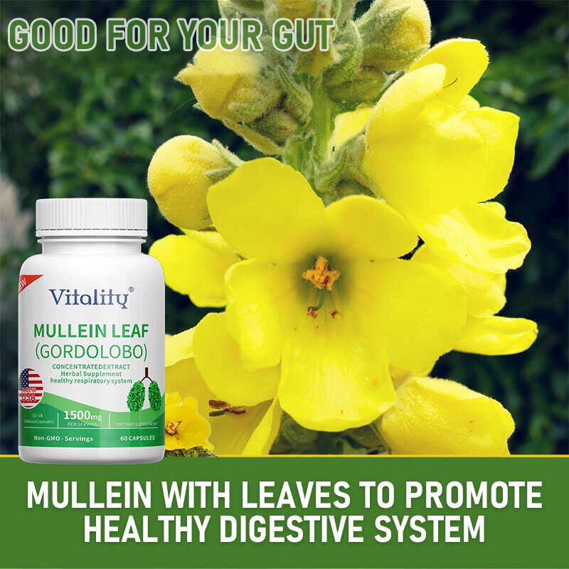 Mullein Capsules 1500 mg | Herbal support for healthy respiratory ...