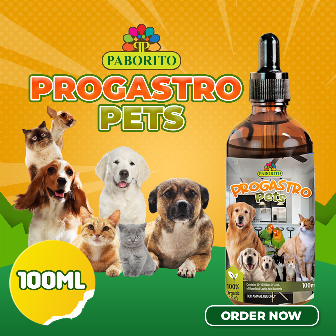 PROGASTRO PETS | 5 in 1 Pet Supplement | Probiotics Vitamins Minerals ...