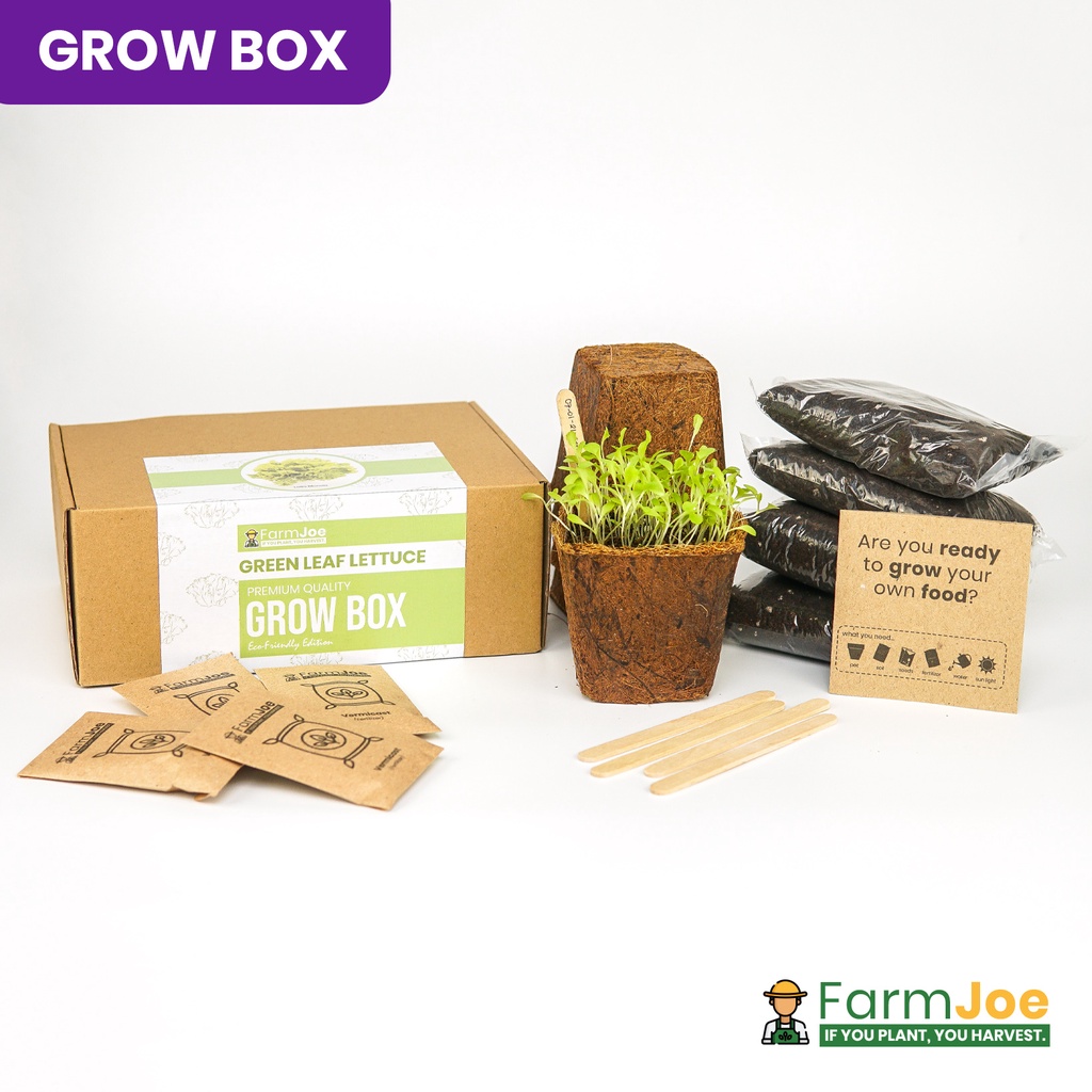 Growing Box GREEN LETTUCE • Seedling Kit • Seed Starting Kit • Grow Kit ...