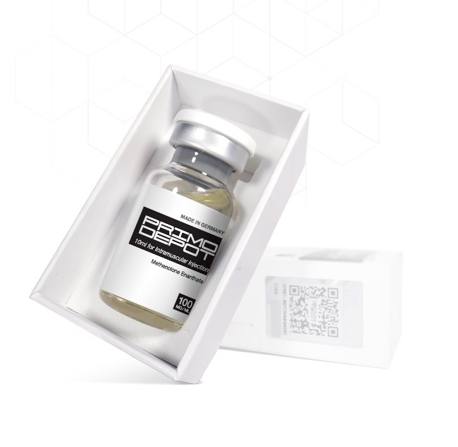 Bodytech - Primo Depot | Lazada PH