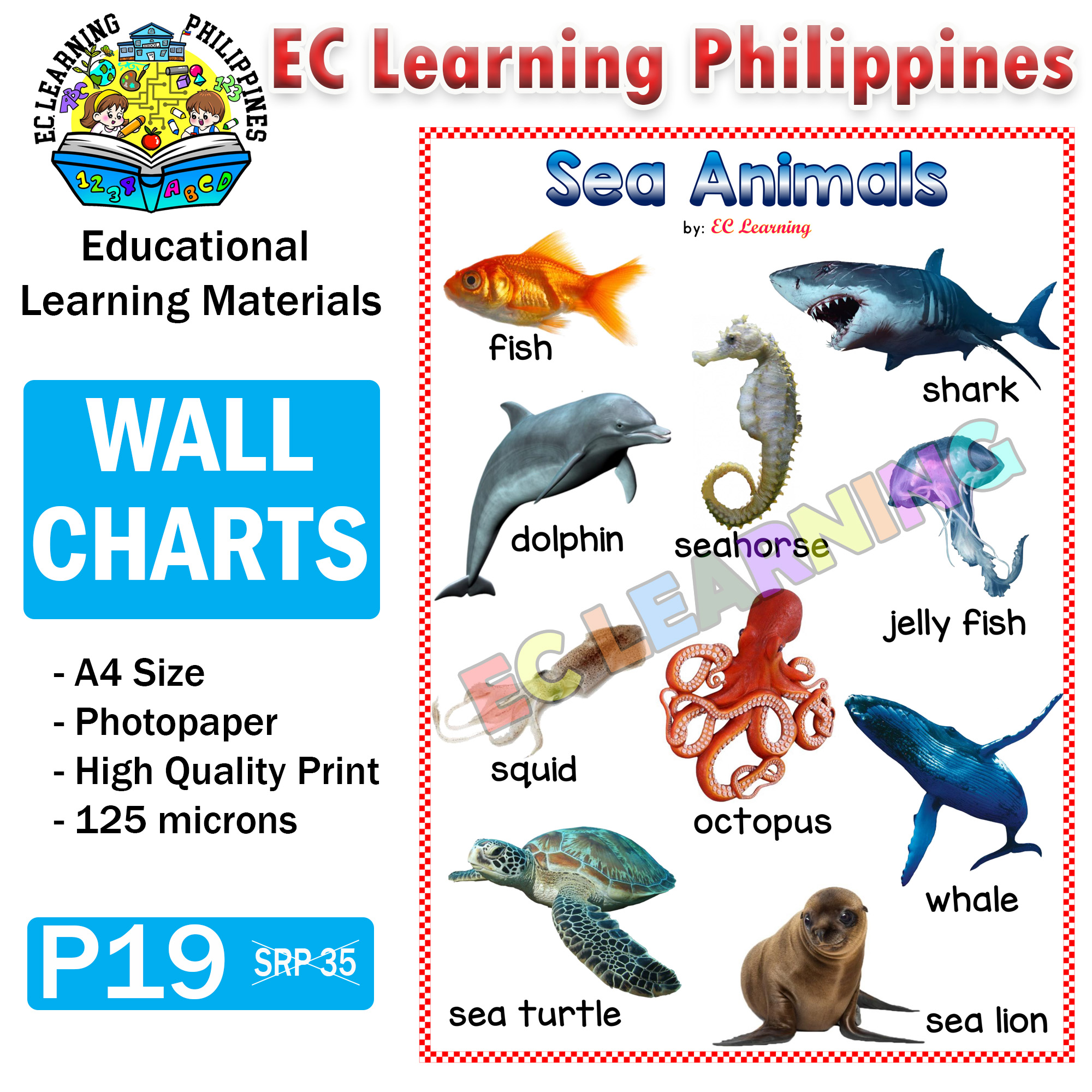 Aquatic Animals Chart