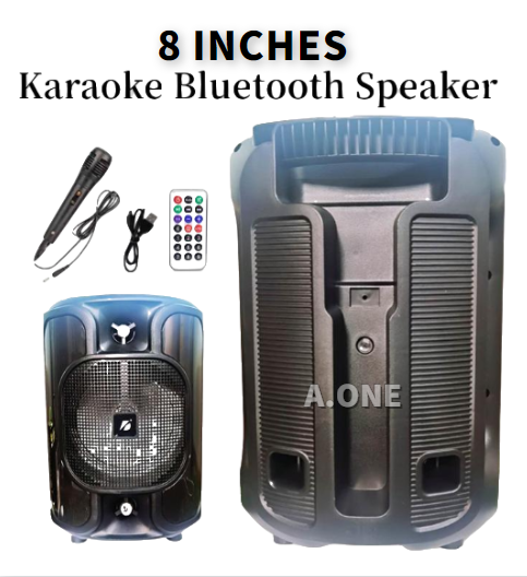 Portable Karaoke Singing Audio Wireless Bluetooth KTS-1766 8inch ...