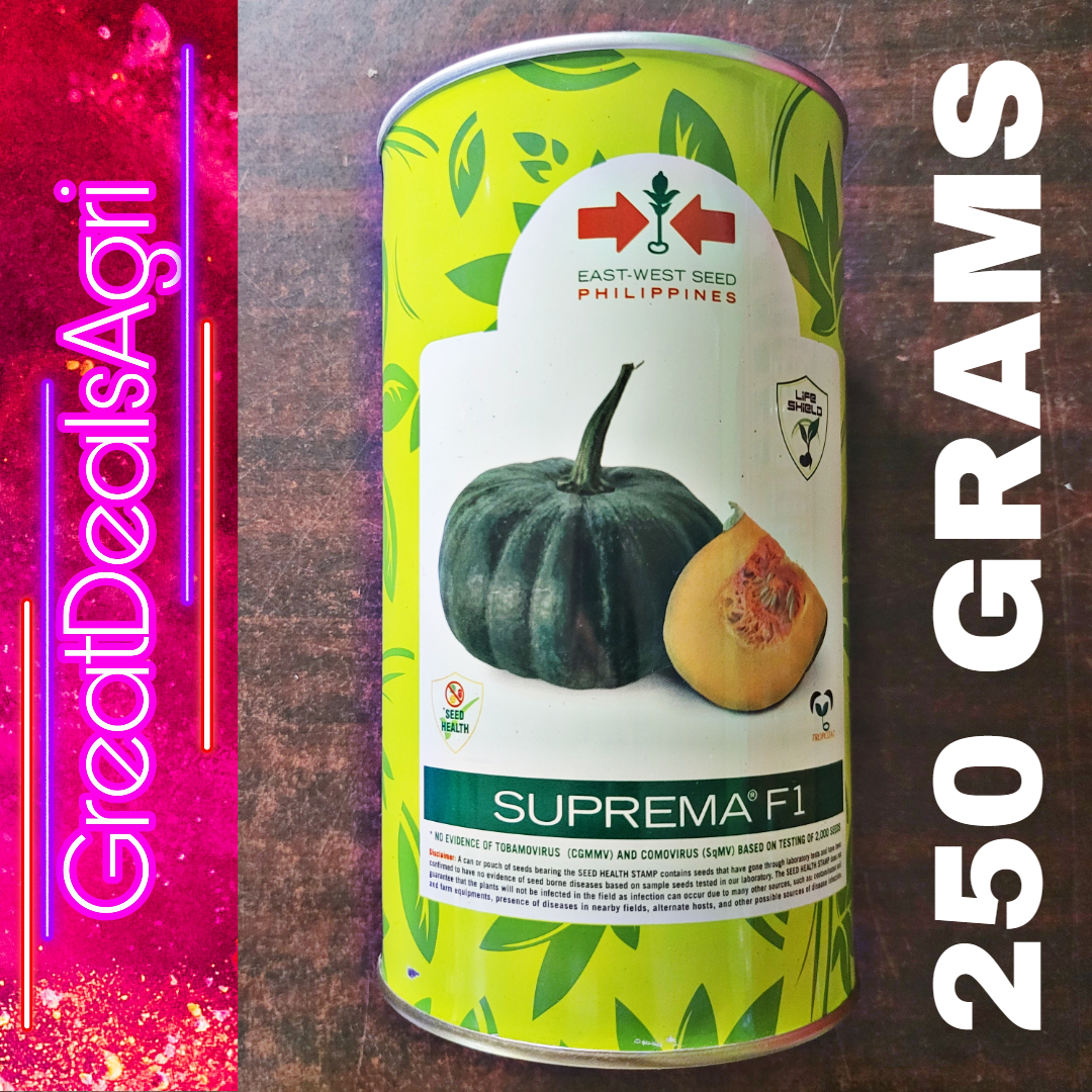 SUPREMA F1 HYBRID KALABASA (250 GRAM CAN approx 2000 seeds) BY EAST WEST SEEDS | Lazada PH
