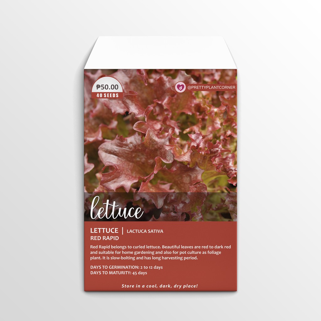 Red Rapid Lettuce Seeds | Lazada PH