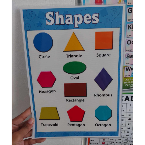 LAMINATED EDUCATIONAL CHARTS | Lazada PH