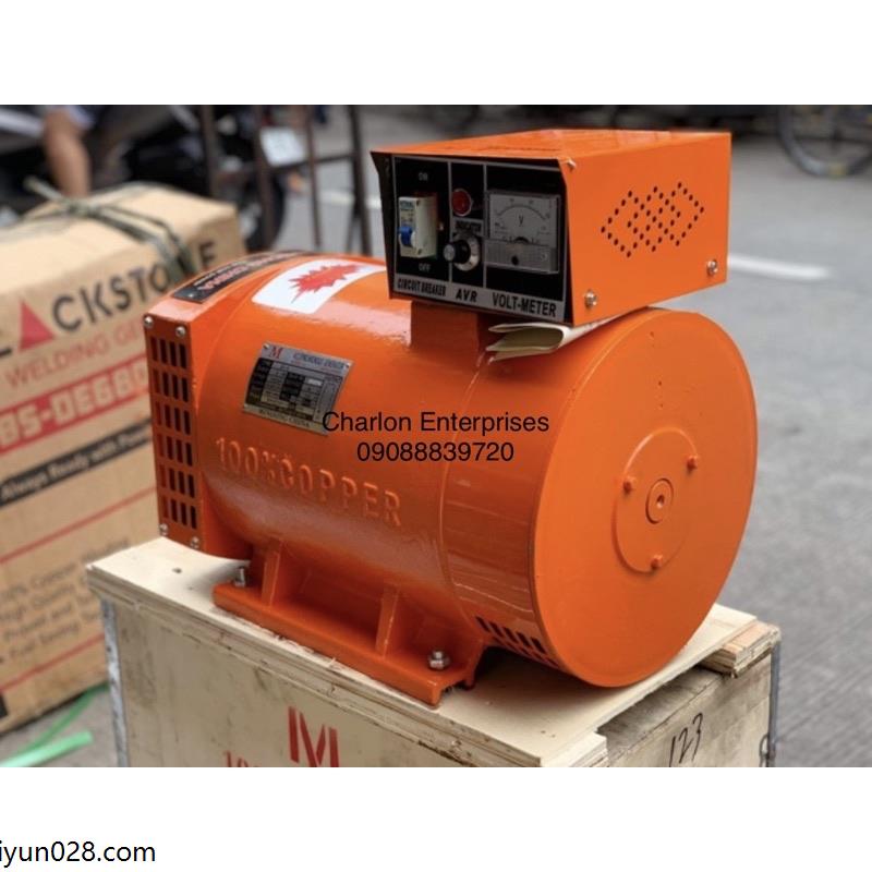 Generator diesel Generator 220v Generator gasoline ST5 Alternator 100 ...