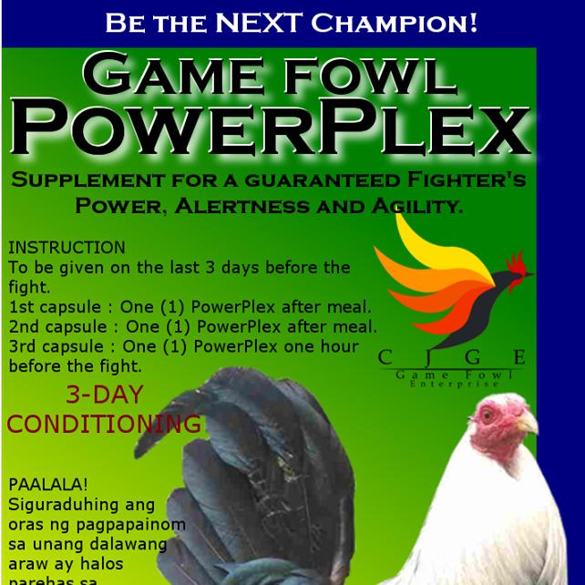 Manok Panabong Conditioning