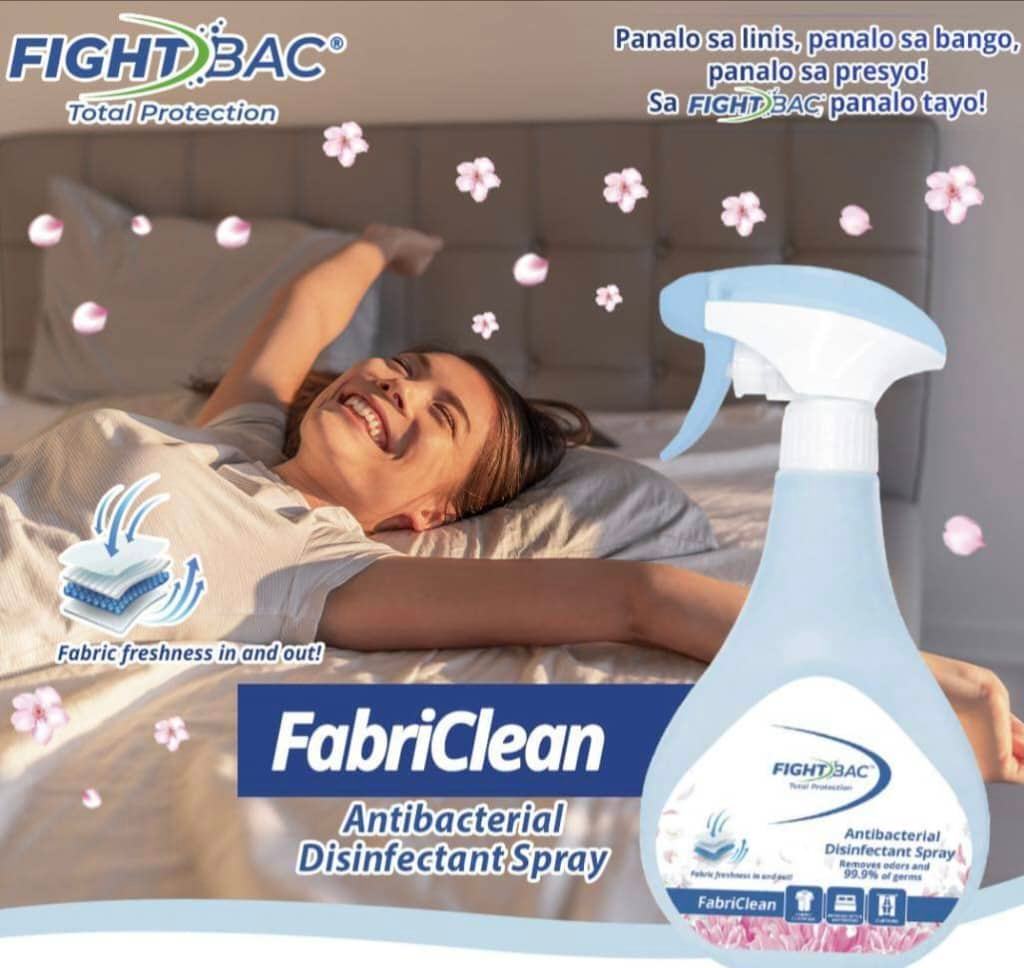 FABRICLEAN SPRAY | Lazada PH