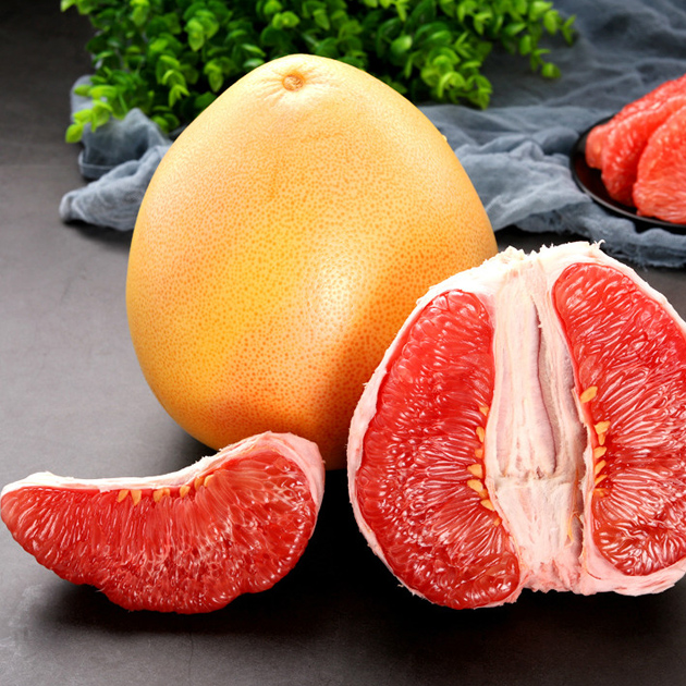 Pomelo Seeds (10 Seeds) for Planting | Lazada PH