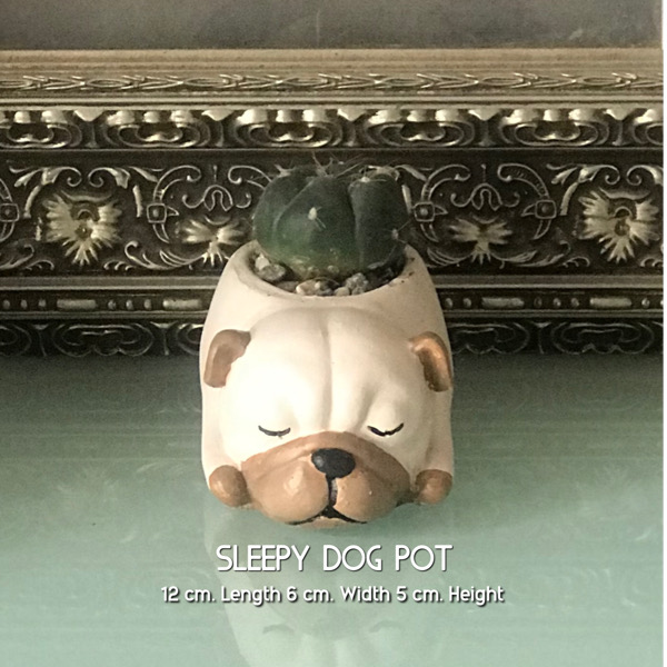 Concrete Pot for Plants - Sleepy Dog Pot | Lazada PH