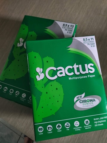 Cactus Long Bond Paper | by Ream (500 sheets) | Lazada PH