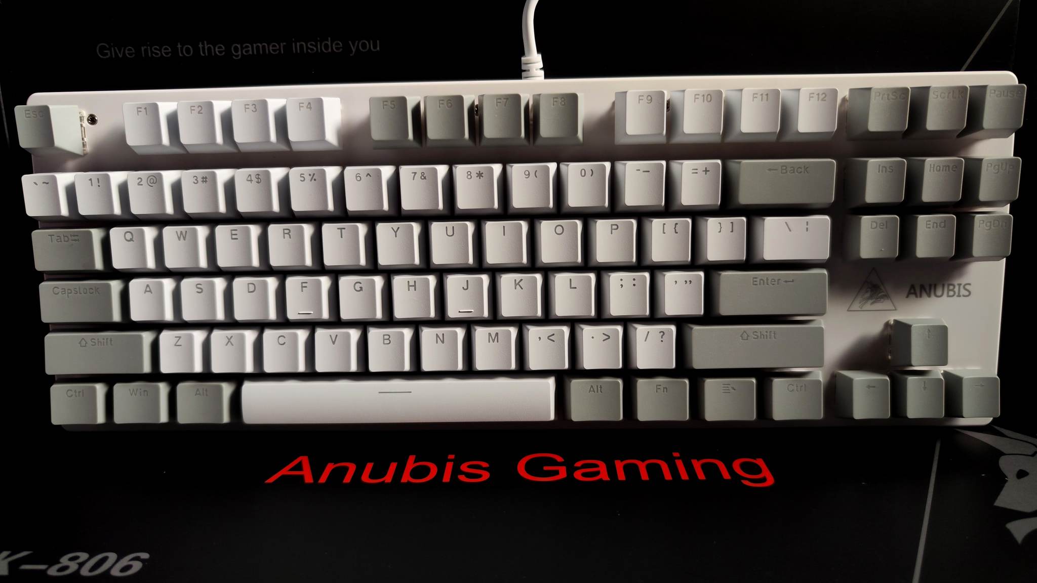 RGB AG87 Hotswappable Mechanical Keyboard Red Brown Switch RGB Backlit ...