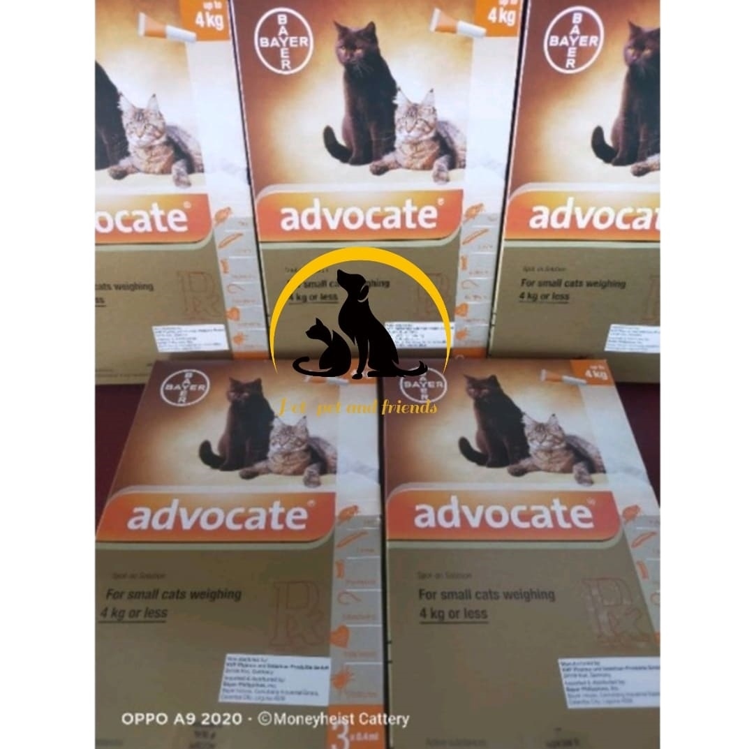 【Spot goods】 ADVATE On solution for Cats (04kg) | Lazada PH