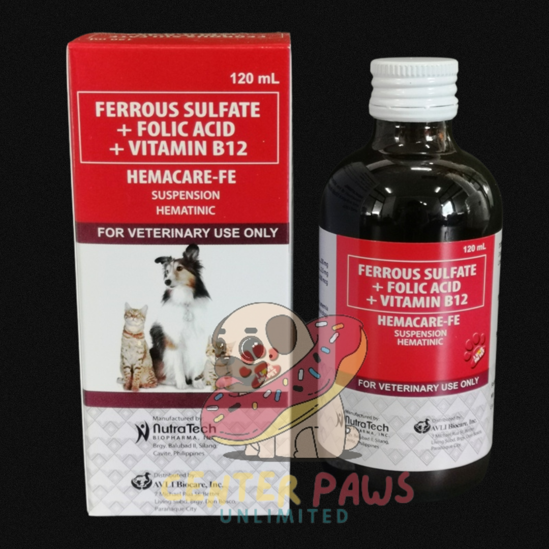 HEMACARE-FE Suspension, 120ml, Ferrous Sulfate (Iron)+Folic Acid ...