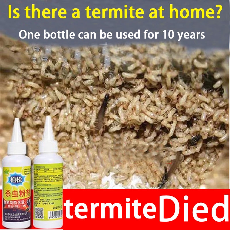 100% Effective Termite Killer 75g Solution Odorless Termite Baiting ...